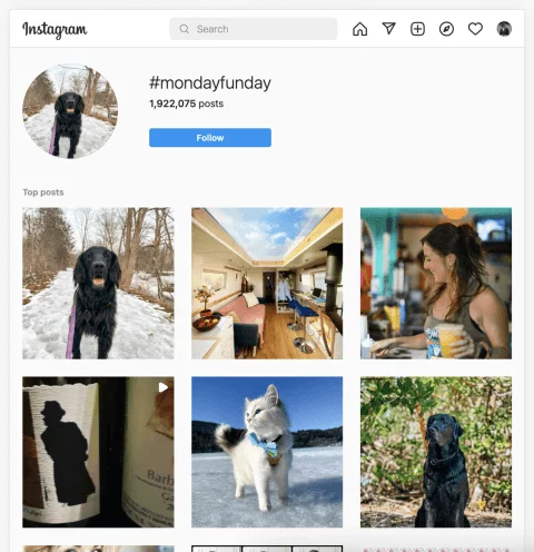 Instagram Hashtags for Each Day of the Week | Planable
