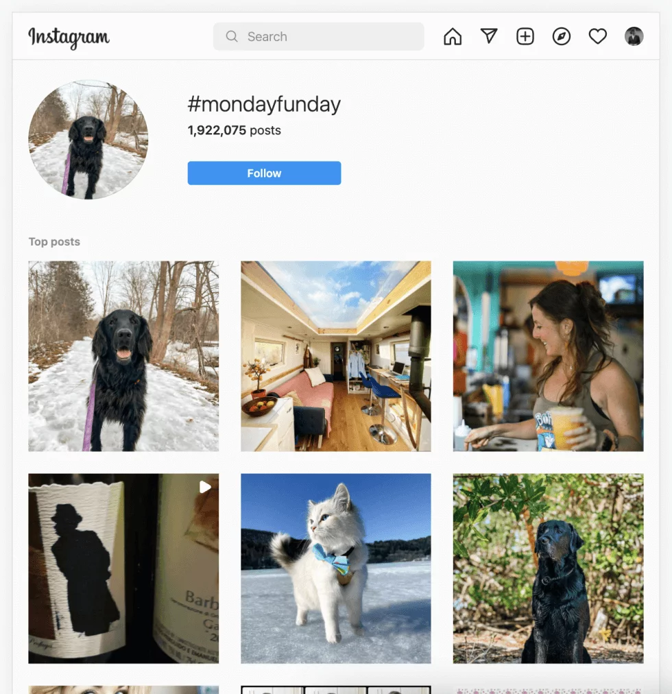 Instagram Hashtags for Each Day of the Week | Planable