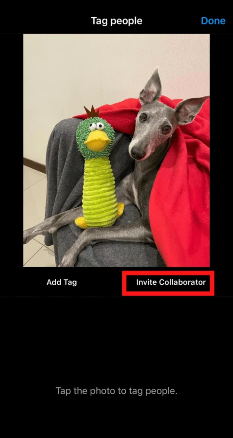 How to add a collaborator on Instagram: A go-to guide for 2025