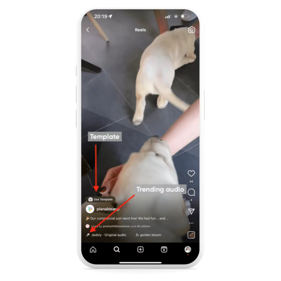 How to Make Reels on Instagram if You're a Beginner - Planable
