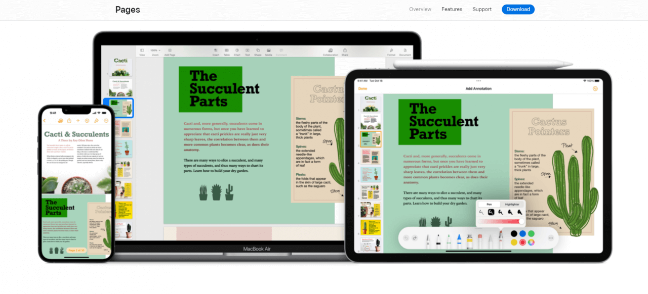 7 best Microsoft Word alternatives for 2025 — free popular picks