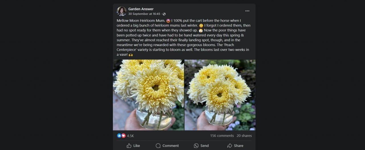 20 Catchy Facebook Post Ideas for 2026 (with Examples)
