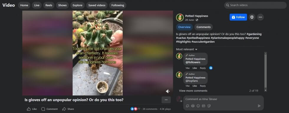 20 Catchy Facebook Post Ideas for 2026 (with Examples)