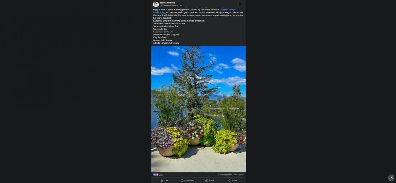 20 Catchy Facebook Post Ideas for 2026 (with Examples)