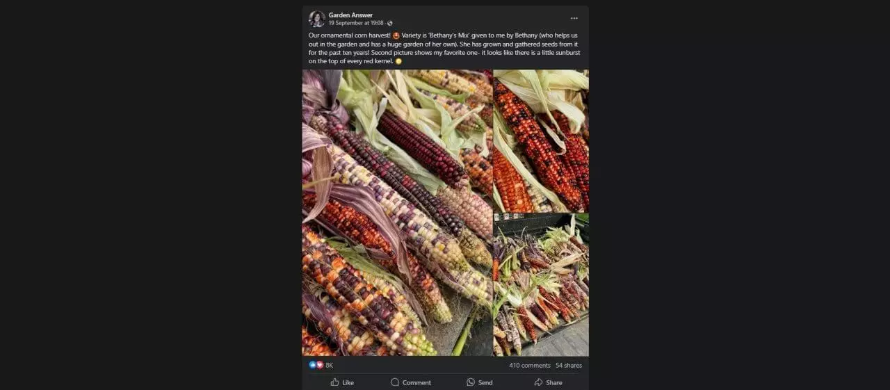 20 Catchy Facebook Post Ideas for 2026 (with Examples)
