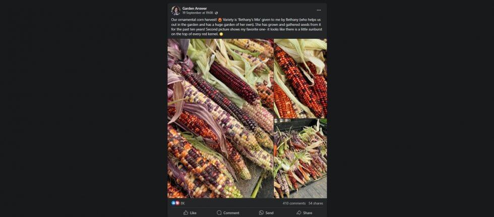 20 Catchy Facebook Post Ideas for 2026 (with Examples)