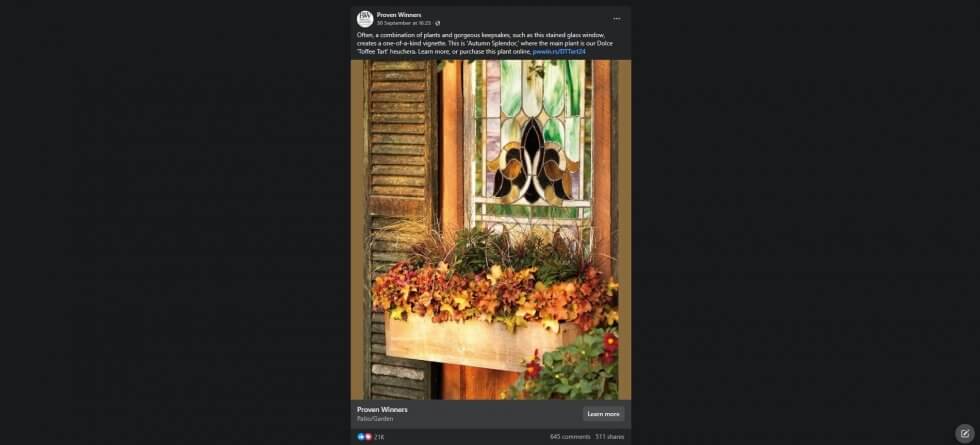 20 Catchy Facebook Post Ideas for 2026 (with Examples)