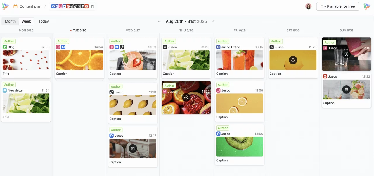9 best content calendar software for better organization in 2025