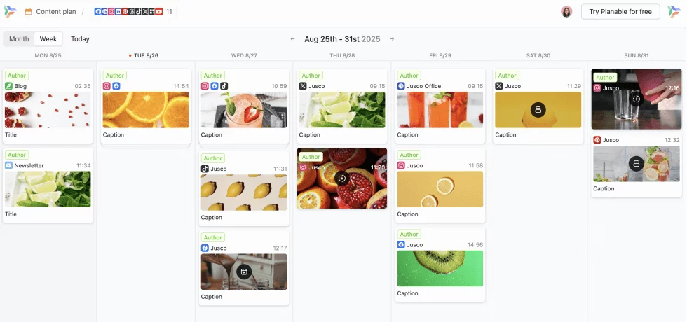 10 best content calendar software for better organization in 2026